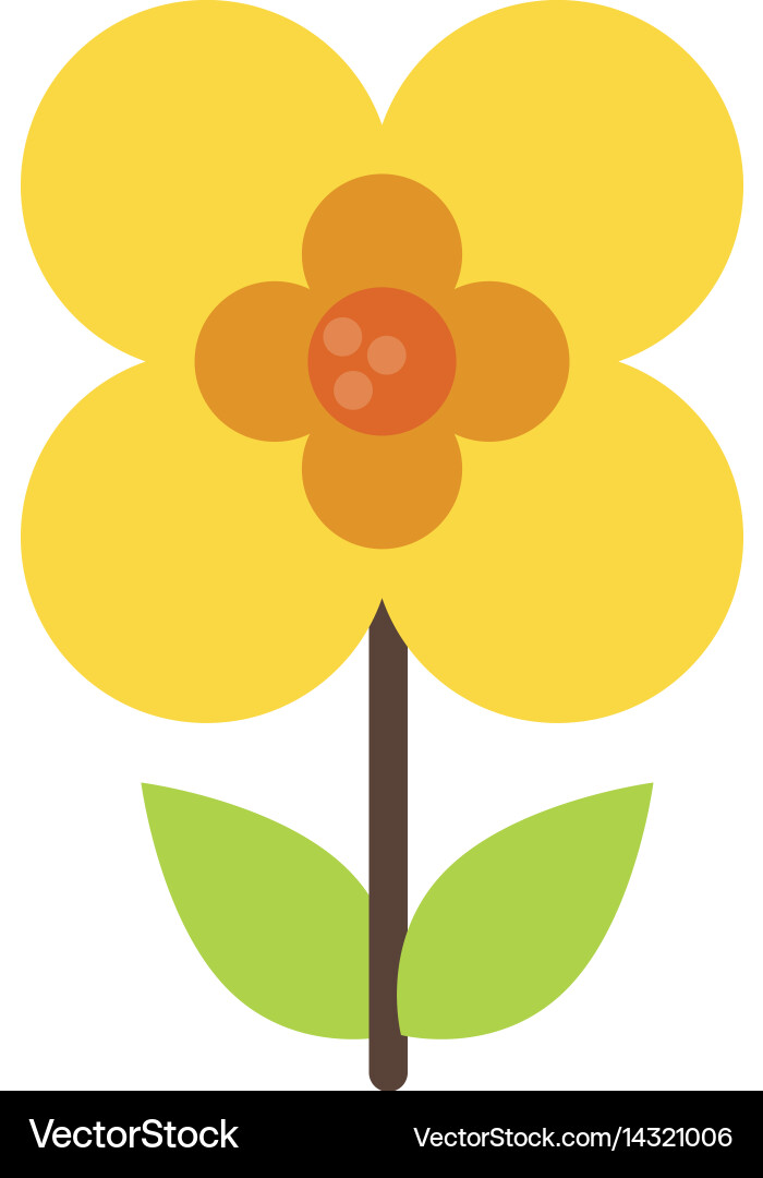 Buttercup flower natural image Royalty Free Vector Image