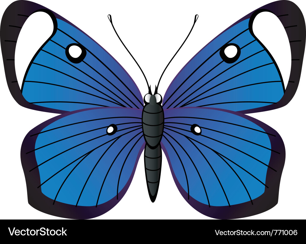 Butterfly Royalty Free Vector Image - VectorStock