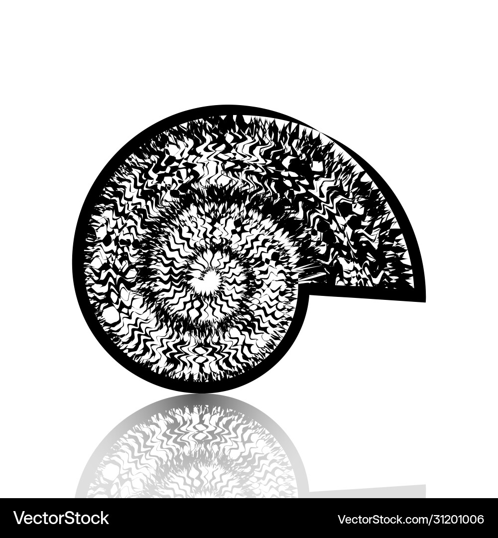 Spiral view a snail Royalty Free Vector Image - VectorStock