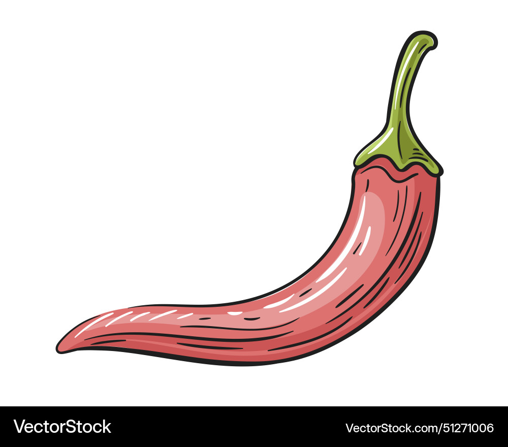 Chilli Drawing Vector Images (over 2,500)