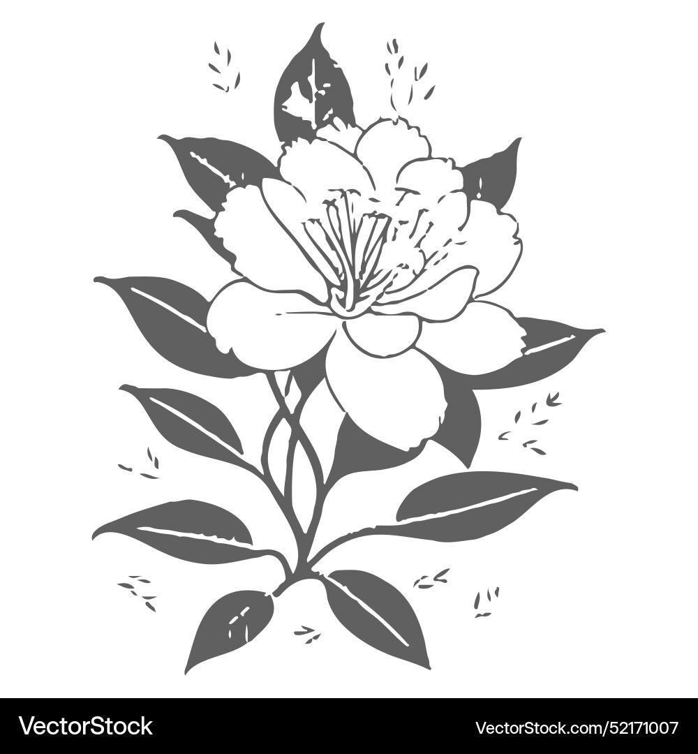 Azalea flower sketch grey Royalty Free Vector Image