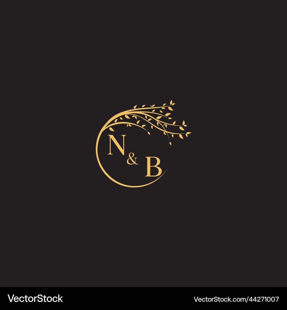 Nb nature theme logo initial concept with high Vector Image