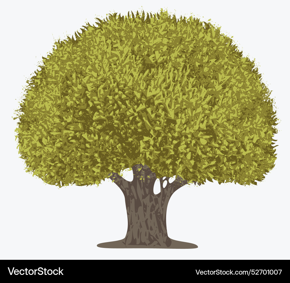 Realistic drawing of olive tree Royalty Free Vector Image