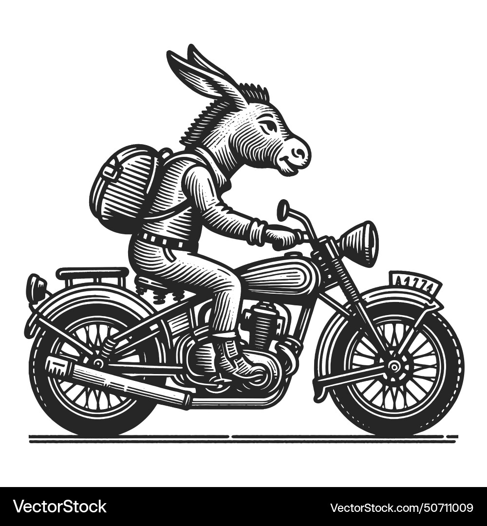 Donkey riding motorcycle sketch Royalty Free Vector Image