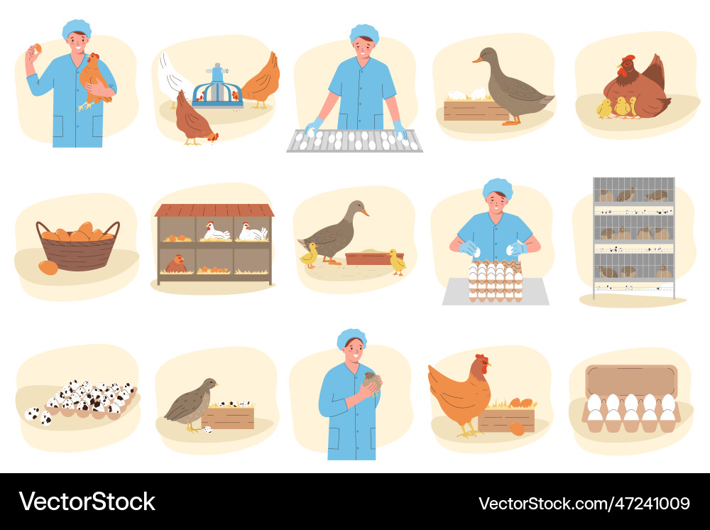 Eggs production set Royalty Free Vector Image - VectorStock