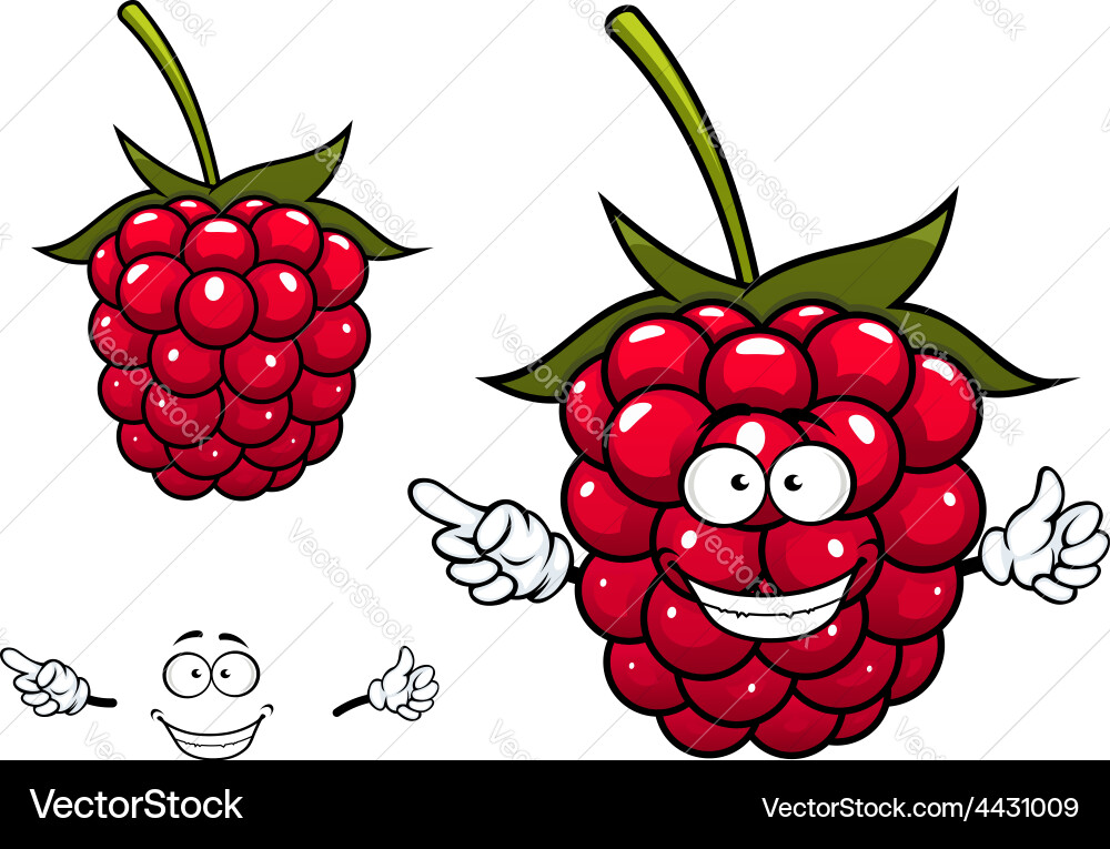 Joyful red raspberry fruit character Royalty Free Vector