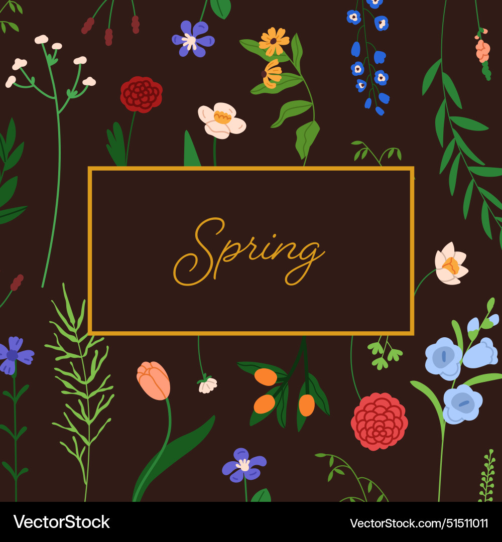 Flower card design spring floral plants blooming Vector Image