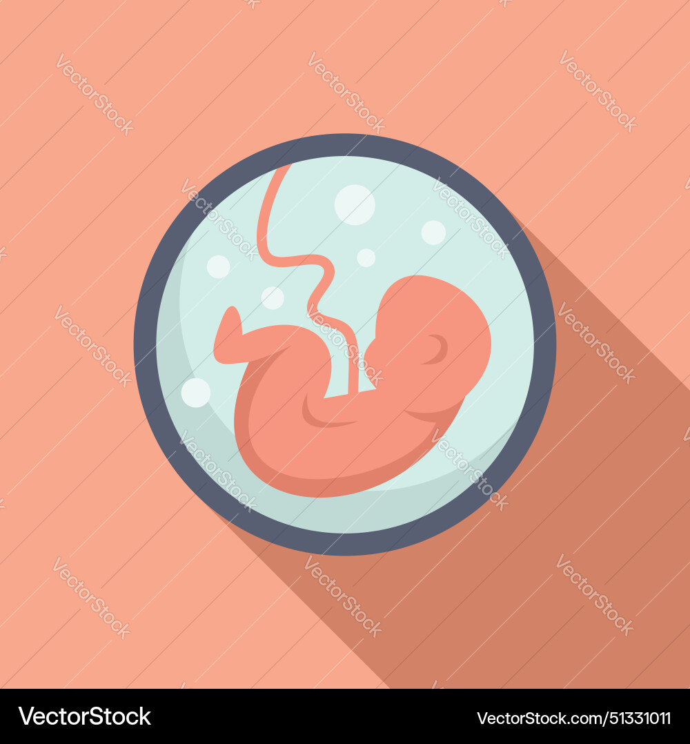 Human fetus in womb Royalty Free Vector Image - VectorStock