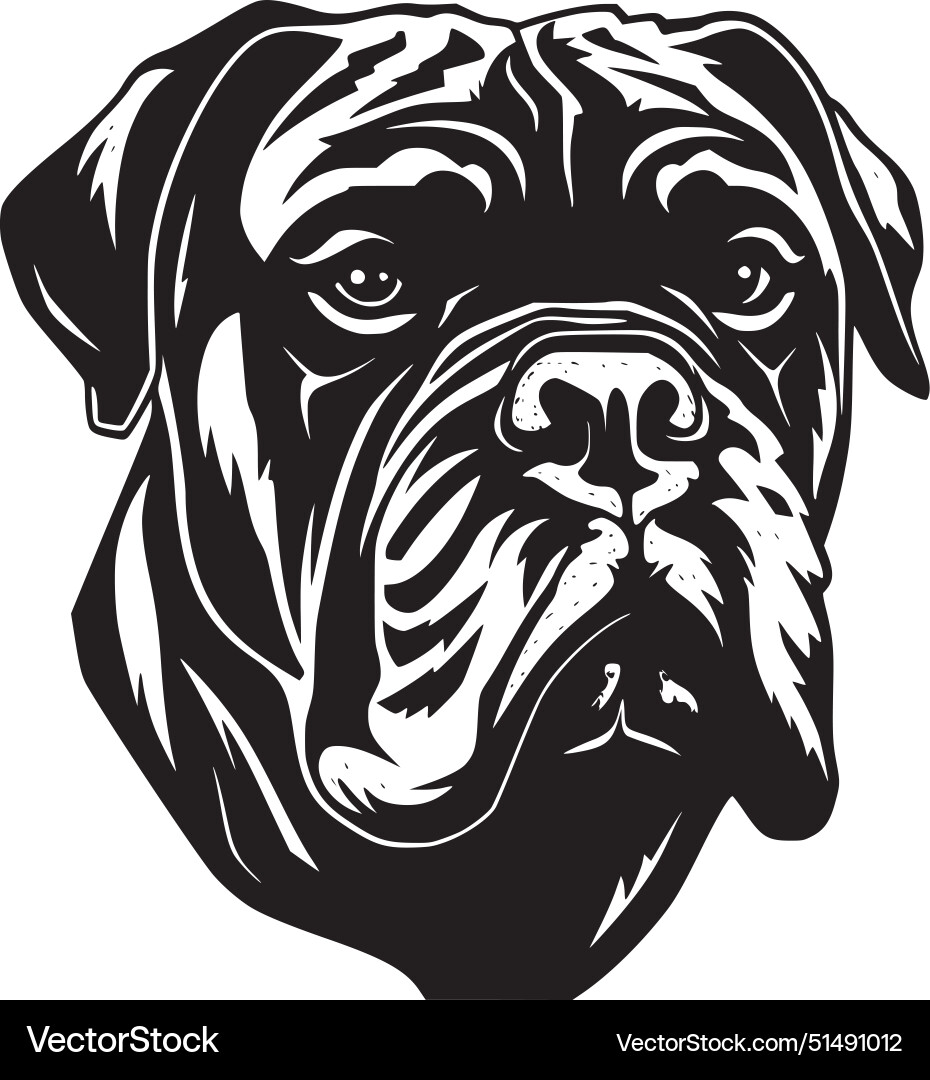 Cane corso - black and white isolated icon Vector Image