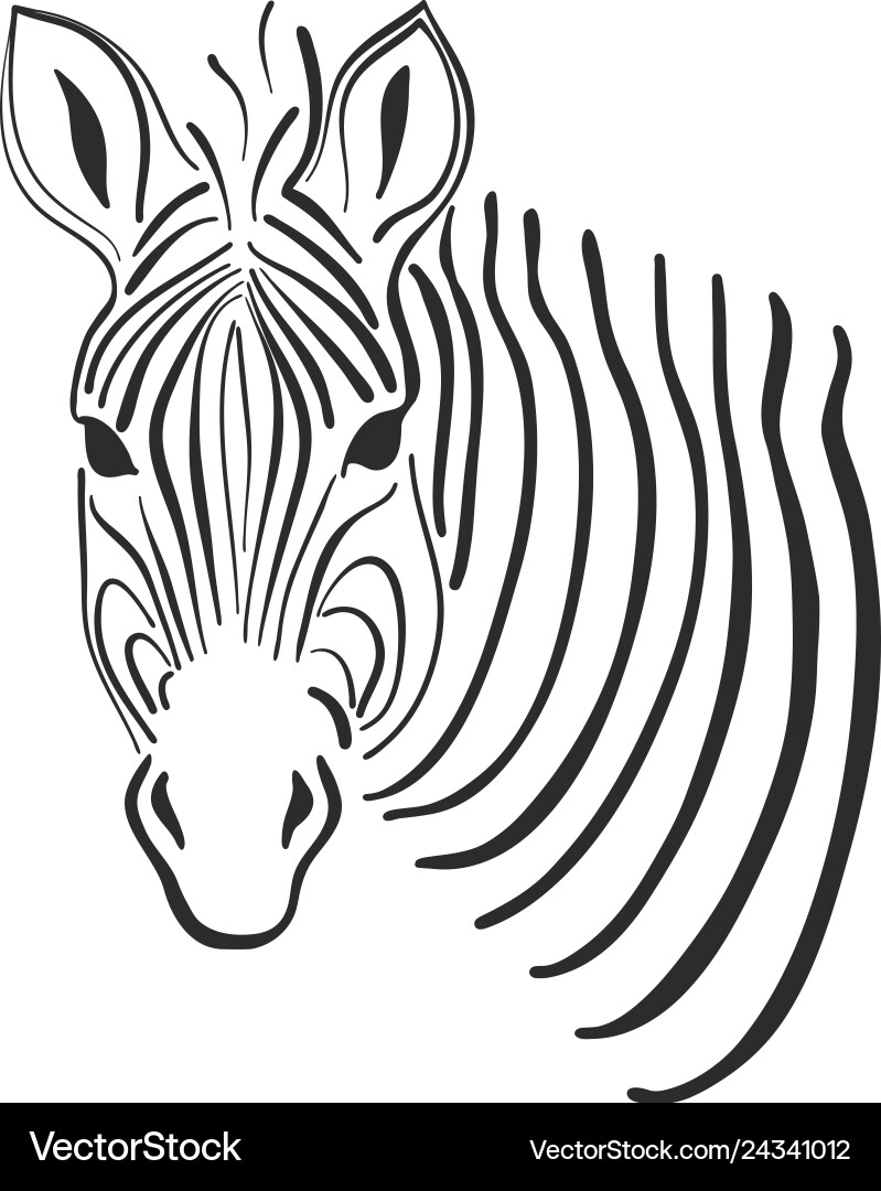 Line art zebra sketch Royalty Free Vector Image