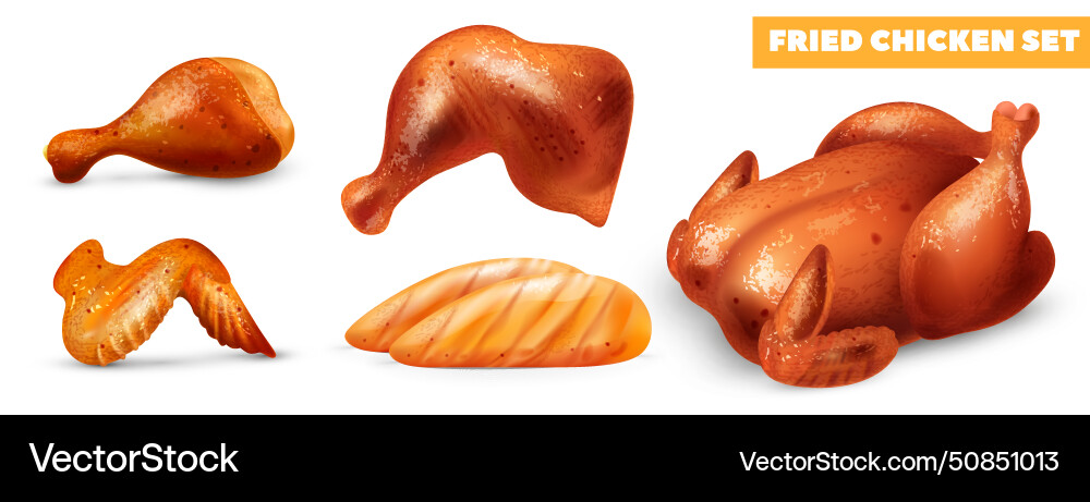 Fried chicken set Royalty Free Vector Image - VectorStock