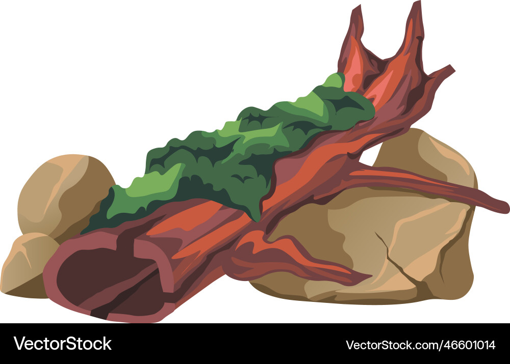 Moss growing on massive rocks and fallen tree Vector Image