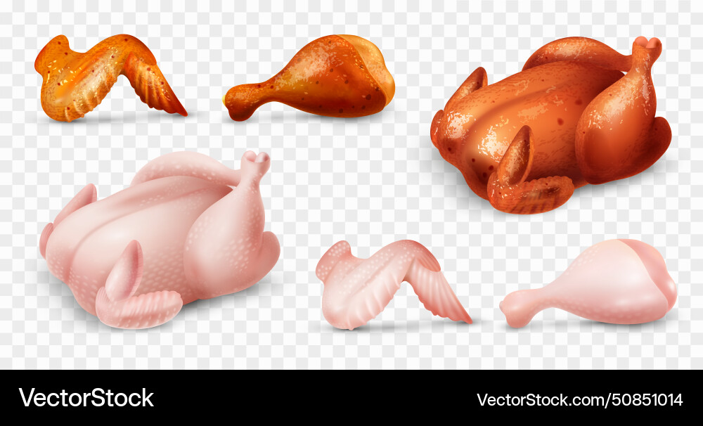 Realistic chicken set Royalty Free Vector Image