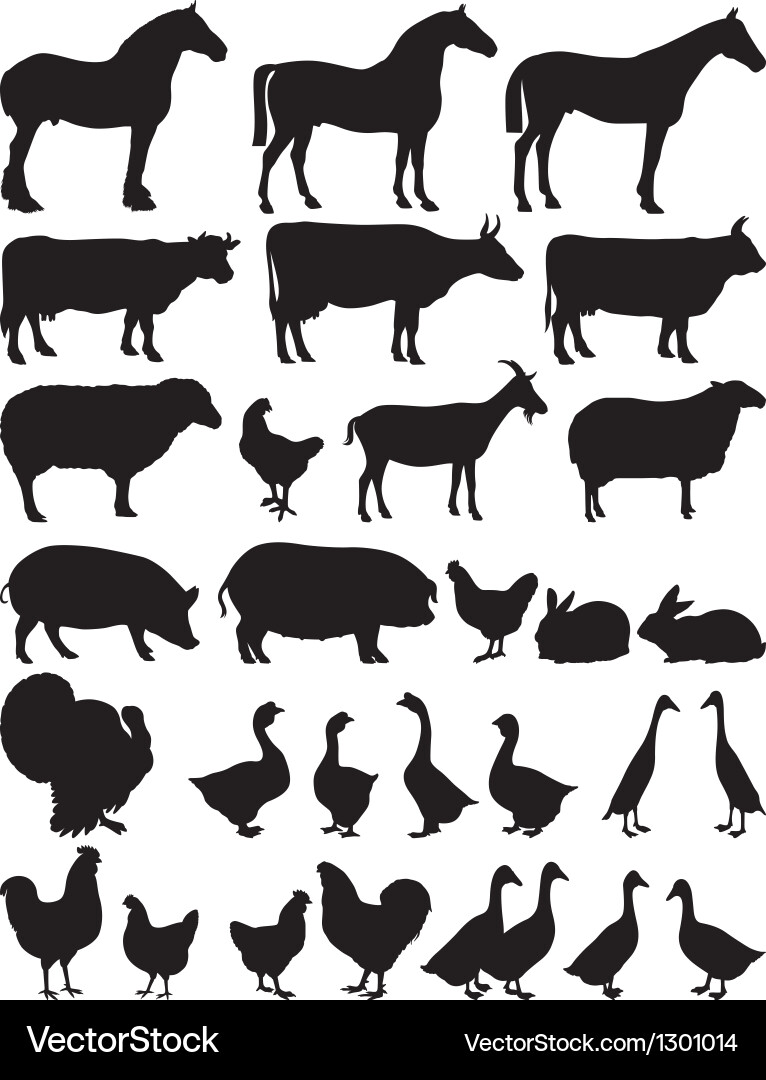 Animals Side View Vector Images (over 15,000)