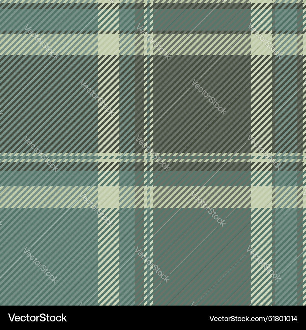 Turkish texture tartan pattern down seamless Vector Image