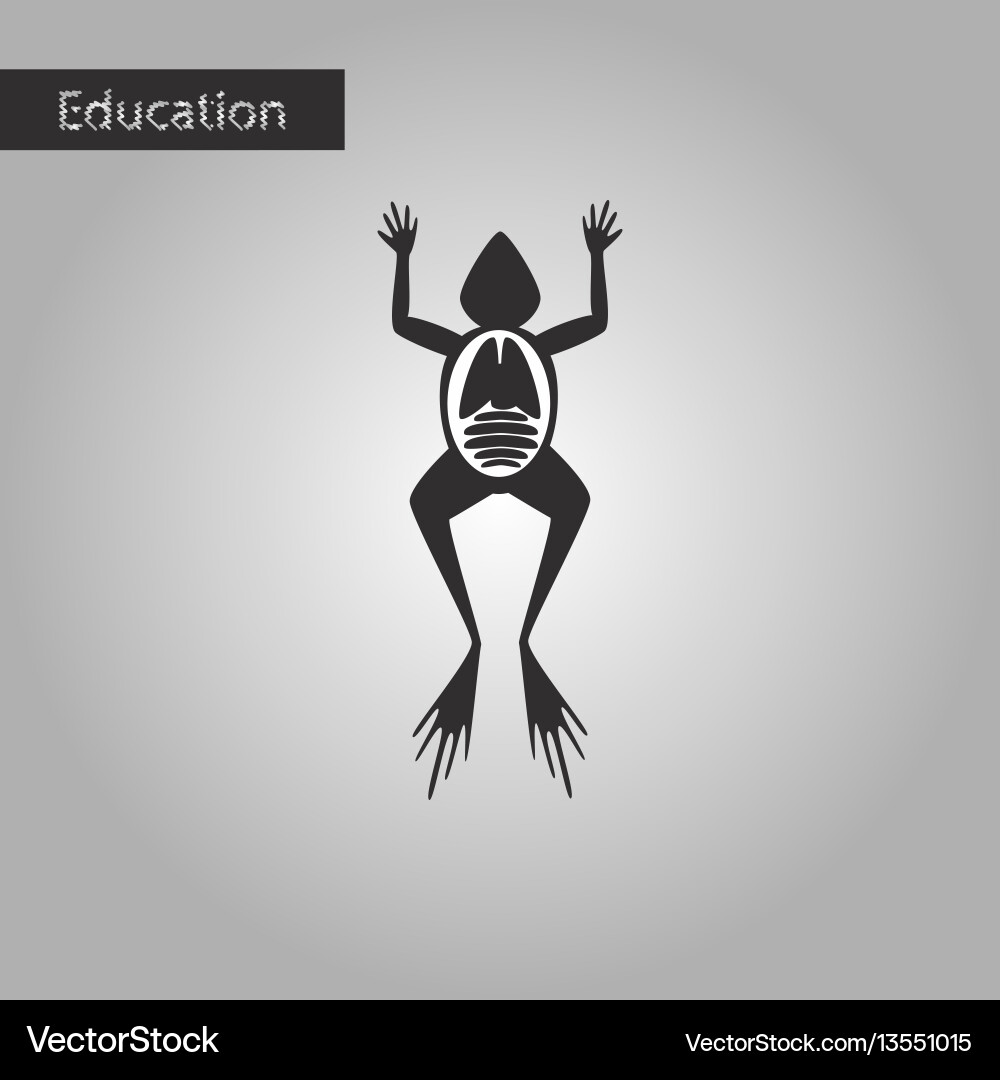 Frog Anatomy Icon - Biology Royalty Free Vector Image