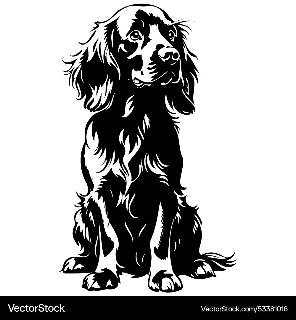 Boykin spaniel sitting ink hand drawn animal Vector Image