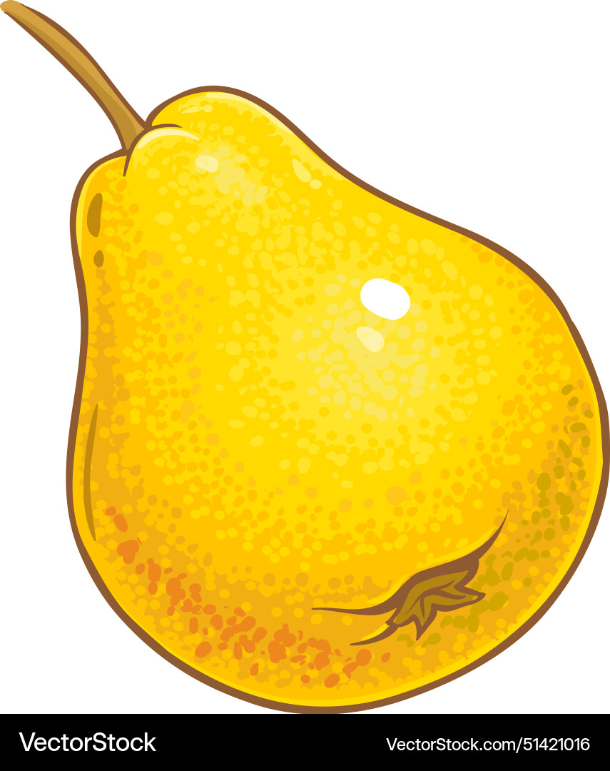 Pear fruit colored detailed Royalty Free Vector Image Pear fruit colored detailed Royalty Free Vector Image