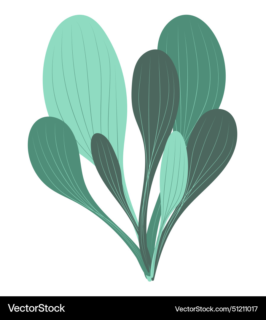 Abstract foliage bush in flat design big green Vector Image