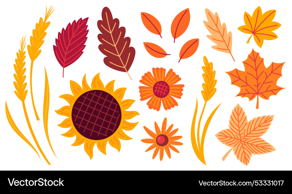 Autumn cozy design elements set of fall leaves Vector Image