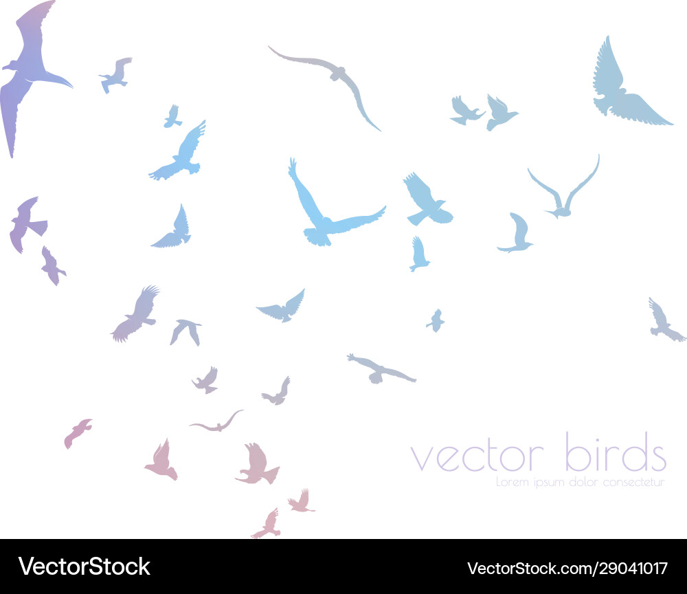 Figure set multicolored flock flying birds Vector Image