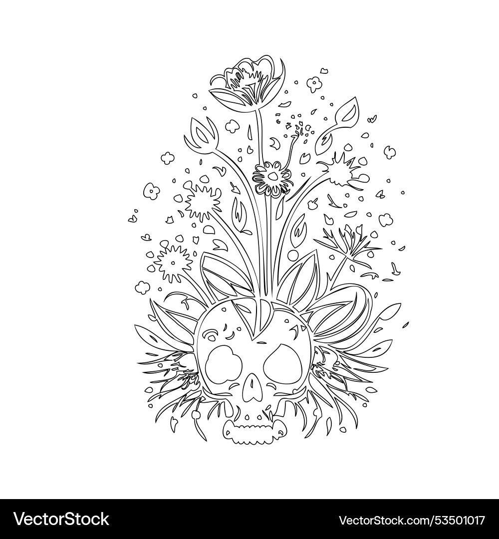 Flower skulls outline sketch Royalty Free Vector Image