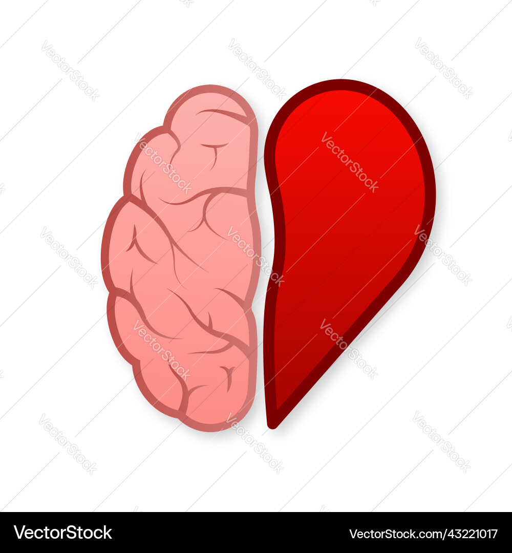 Human brain medical internal organ neural Vector Image