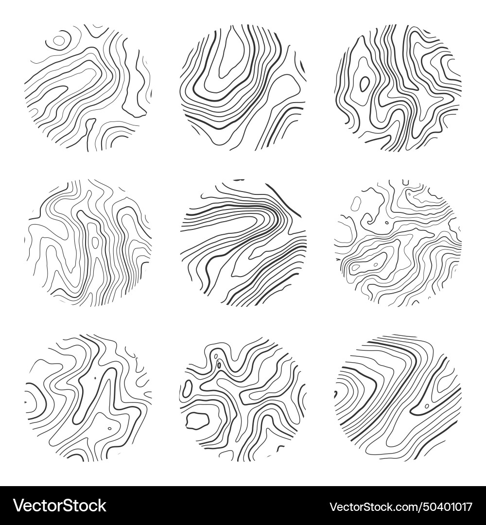 Topographic map with contour lines geographic Vector Image