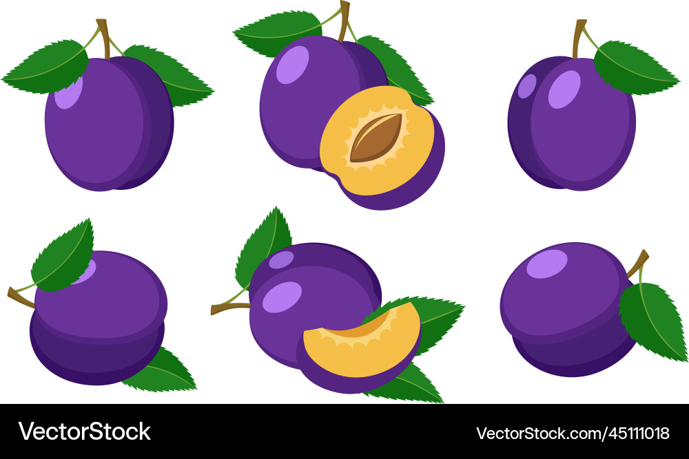 Cartoon plums on white Royalty Free Vector Image