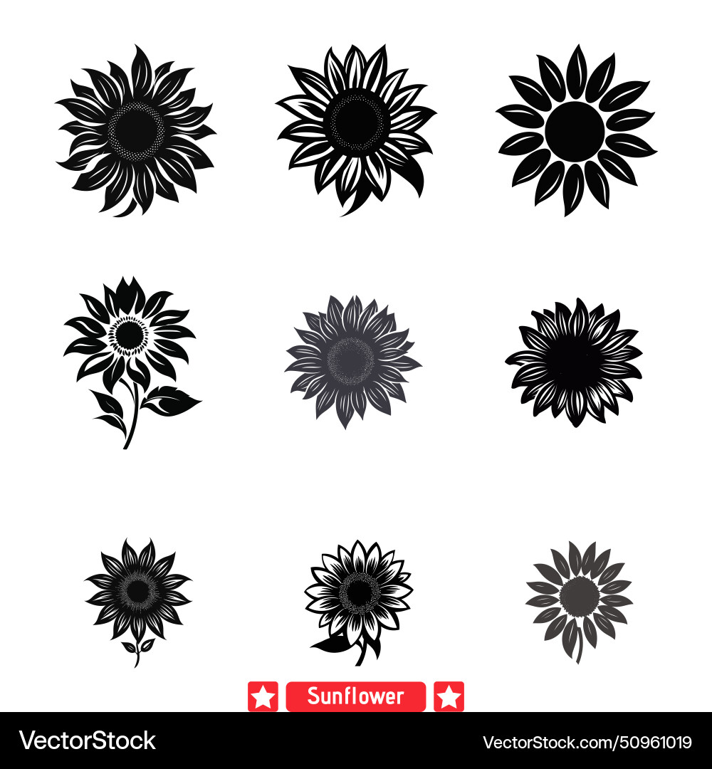 Garden grace premium sunflower silhouette ensemble