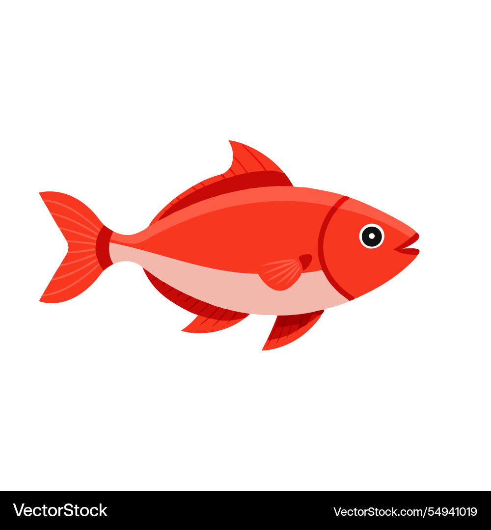 Red fish isolated flat on white background Vector Image