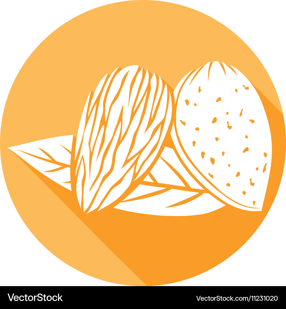 Almond Leaf Vector