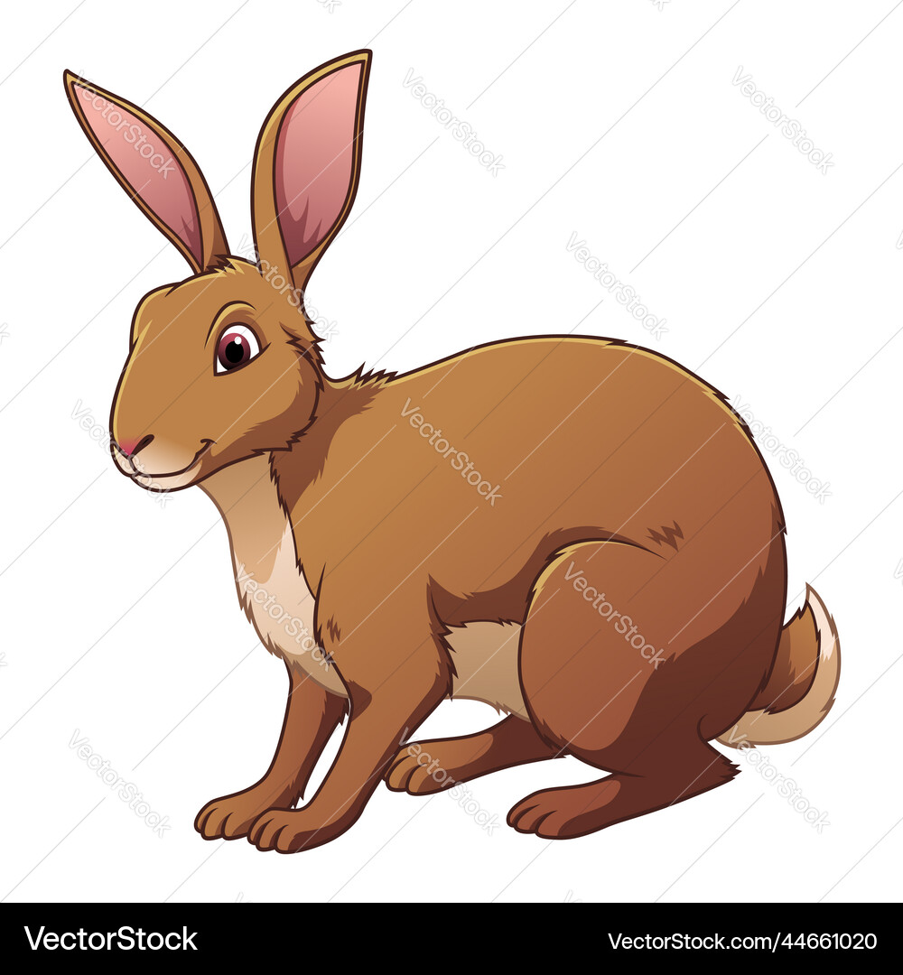 Belgian hare cartoon animal Royalty Free Vector Image