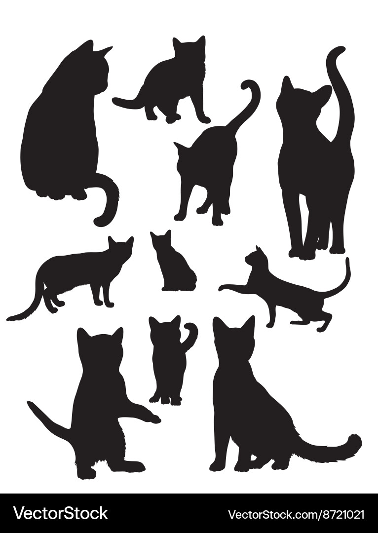 Cat Royalty Free Vector Image - VectorStock