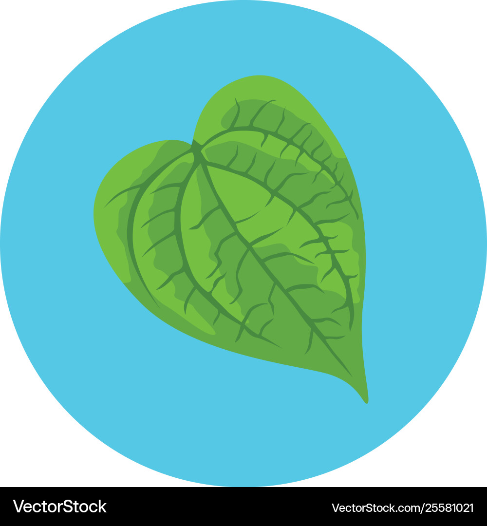Flat-icon-betel-leaf Royalty Free Vector Image