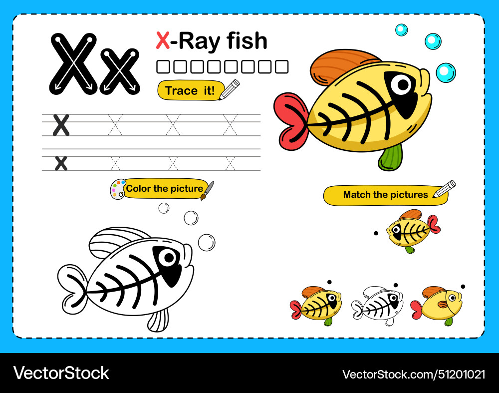 Isolated animal alphabet letter x-x rayfish Vector Image