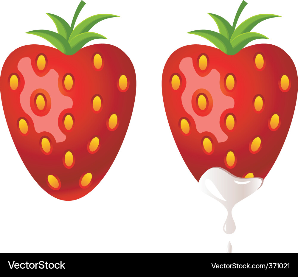 Strawberry Royalty Free Vector Image - VectorStock