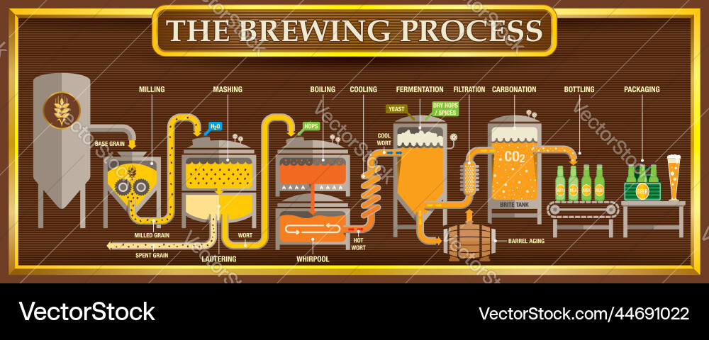 Brewing process infographic Royalty Free Vector Image