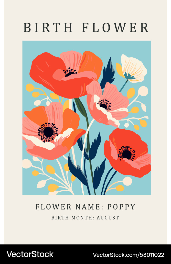 Flanders poppy birth flower august Royalty Free Vector Image