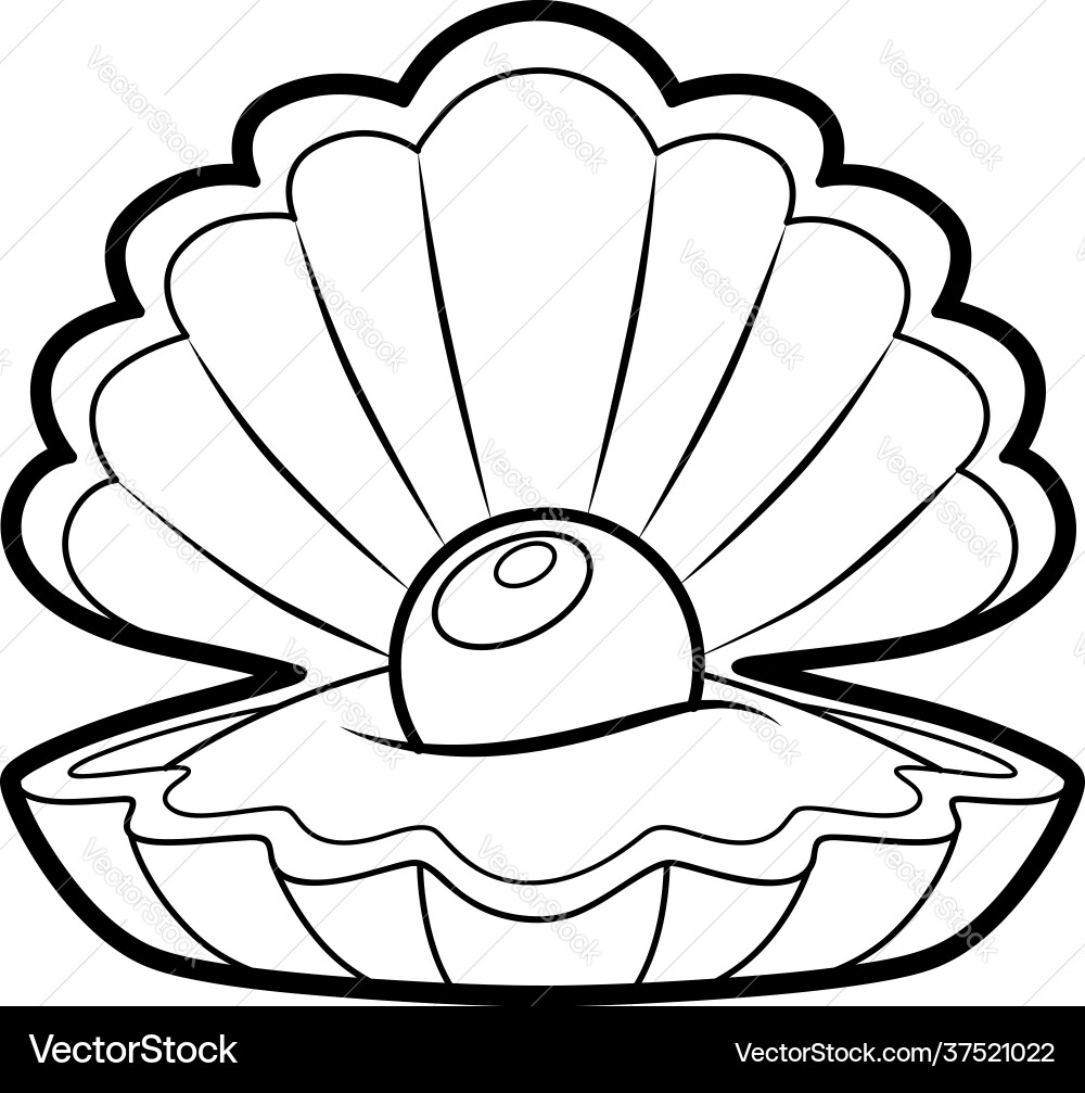 Shell Coloring Page Royalty Free Vector Image - VectorStock