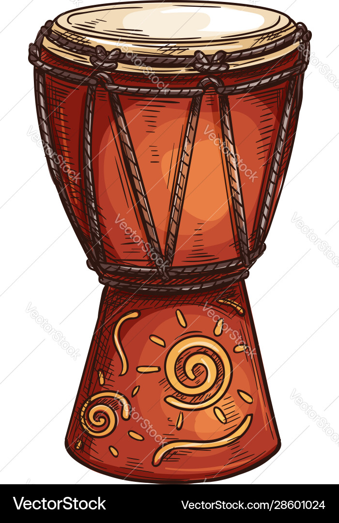 African djembe drum skin-covered goblet jembe Vector Image