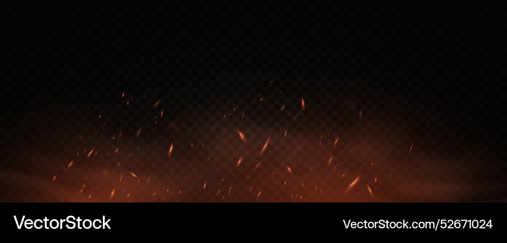 Fire effect with sparks isolated on dark Vector Image