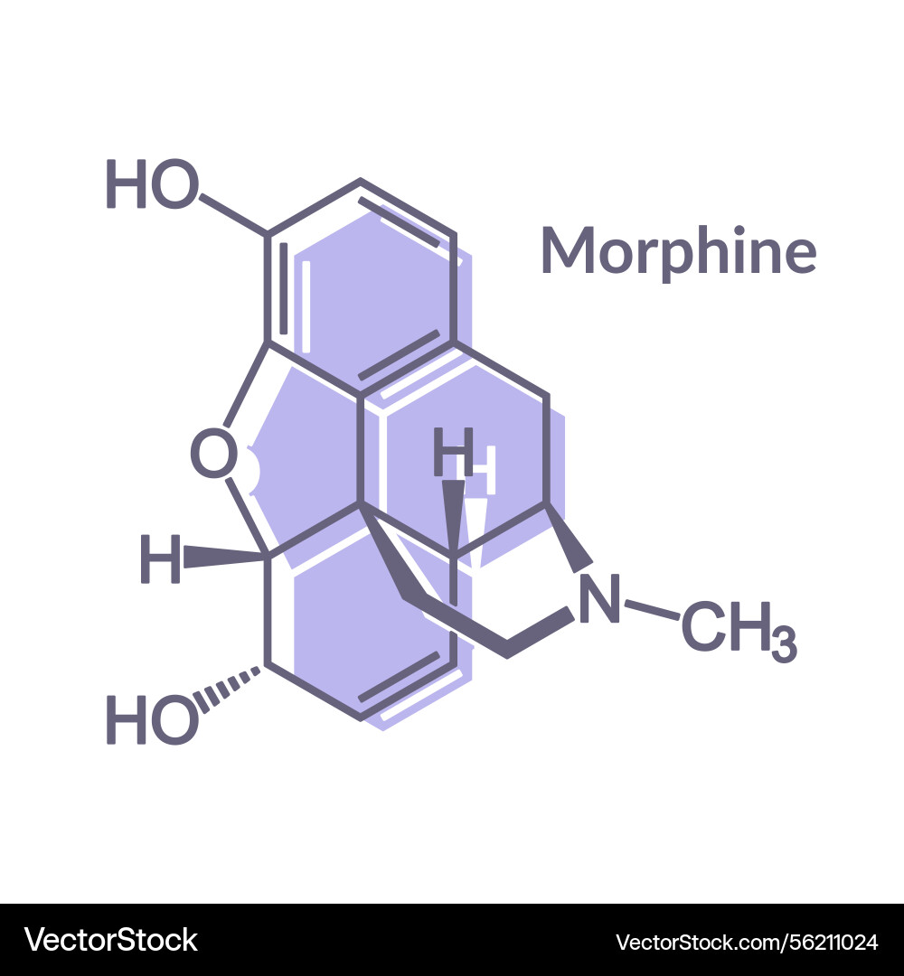Morphine chemical formula Royalty Free Vector Image