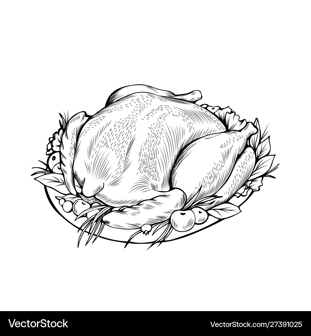 Cooked chicken coloring book Royalty Free Vector Image