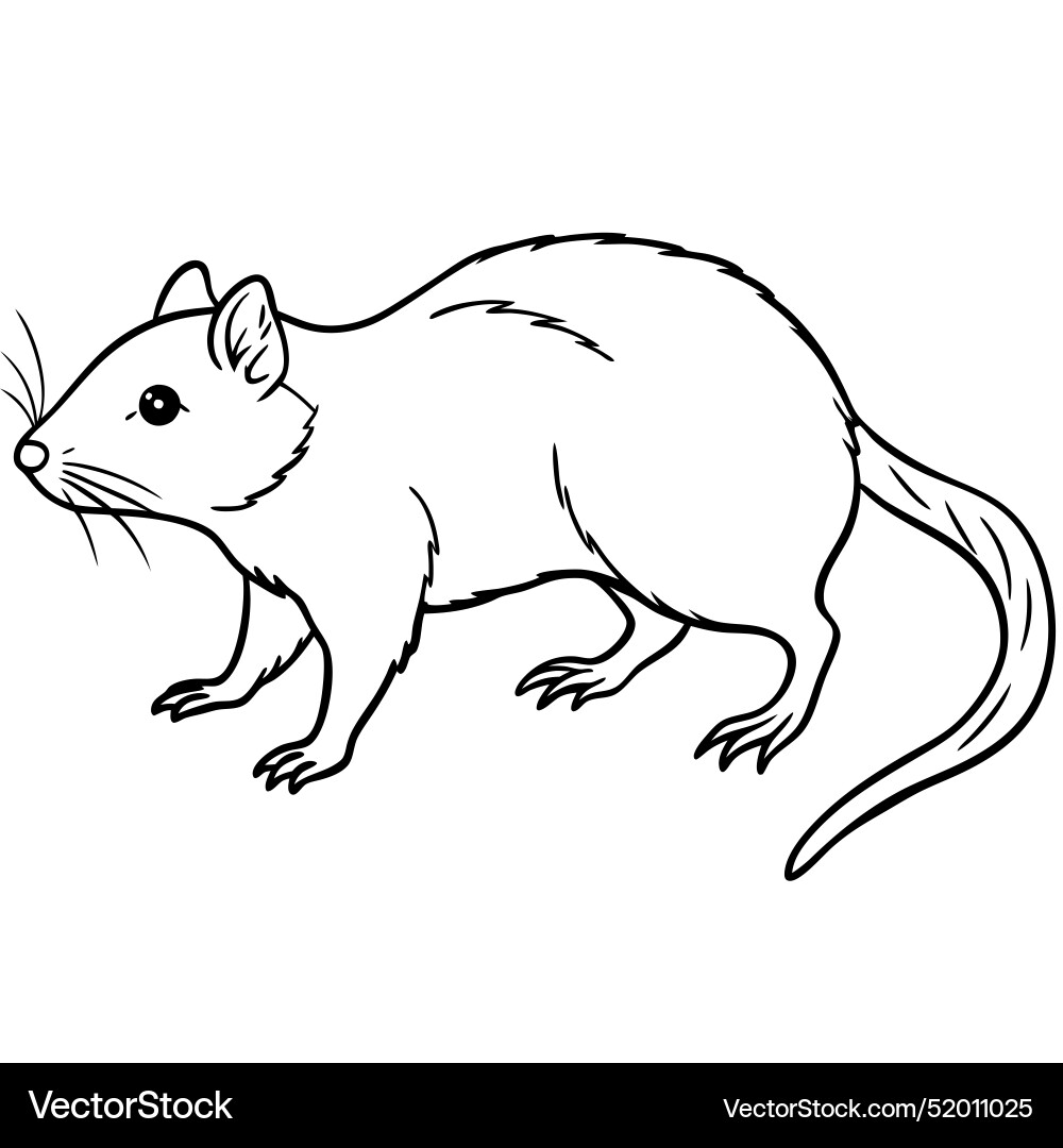 Field vole rodent walks icon Royalty Free Vector Image