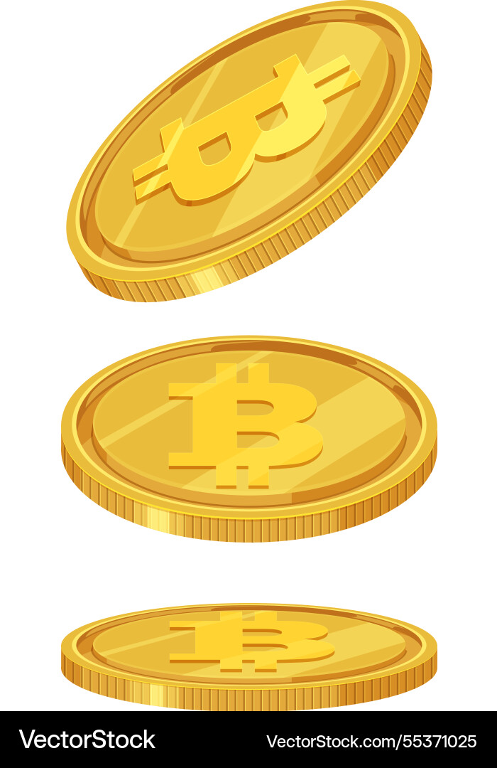 Three gold coins with bitcoin symbols depicted Vector Image