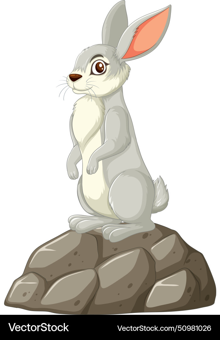 A rabbit standing on stones Royalty Free Vector Image