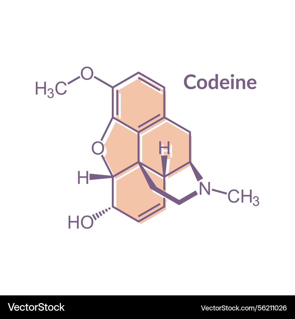 Codeine pain and cough relief drug molecule Vector Image