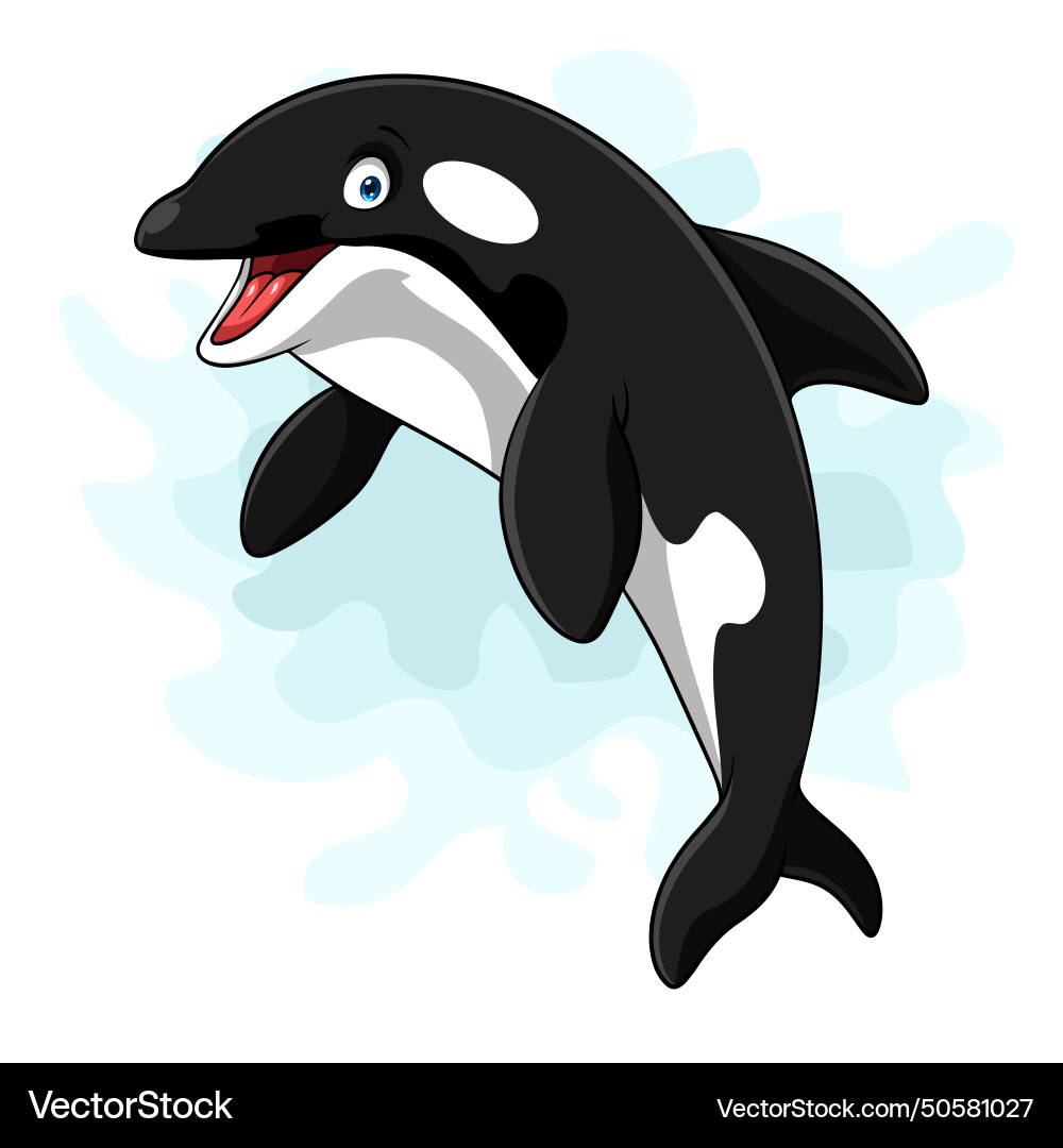 Cartoon orca isolated on white background Vector Image