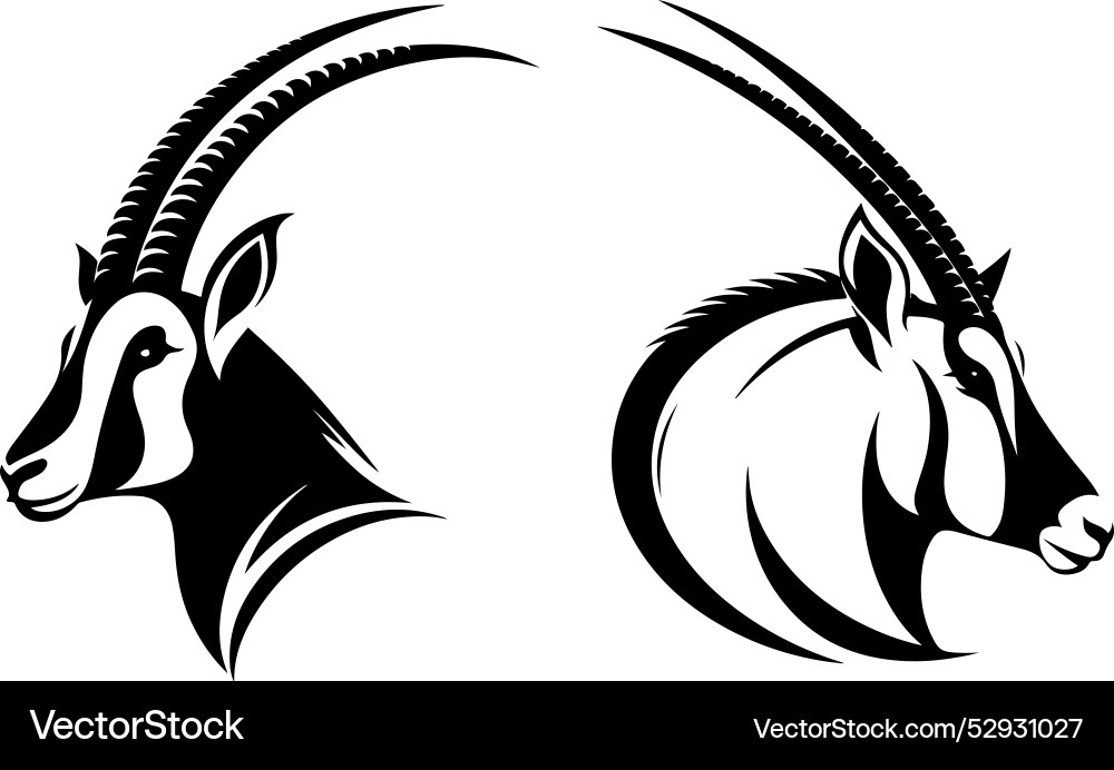 Oryx head logo design on white background 2 Vector Image